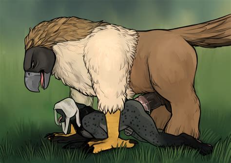Rule 34 Accipitrid Accipitriform Anal Anal Sex Anthro Avian Big Dom Small Sub Bird Chastity