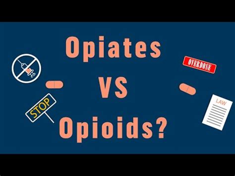 Opioid Vs Opiate Understanding Their Differences And Impact