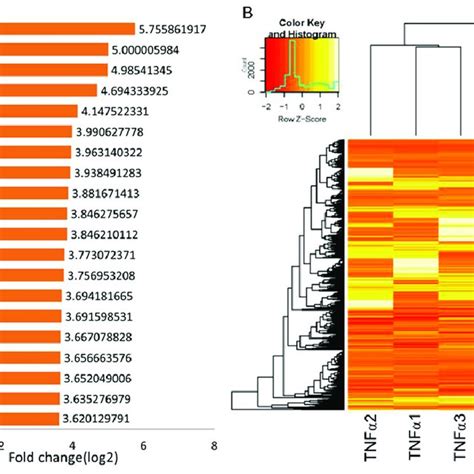 Differentially Expressed Genes And Hierarchical Clustering Analysis In