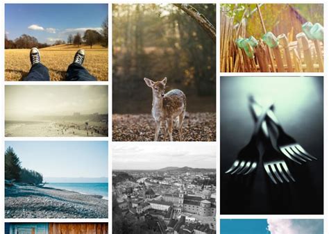 Ultimate WordPress Masonry Gallery Easy Setup Guide 2023