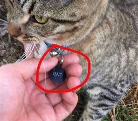 I Was Barely Able To Identify Whats In His Hand Ruselessredcircle