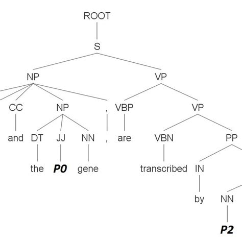 example of a constituent parse tree constituent parse tree for download scientific diagram