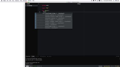 golang no 1 variadic functions youtube
