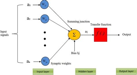 multi layer perceptron neural network [37] download scientific diagram