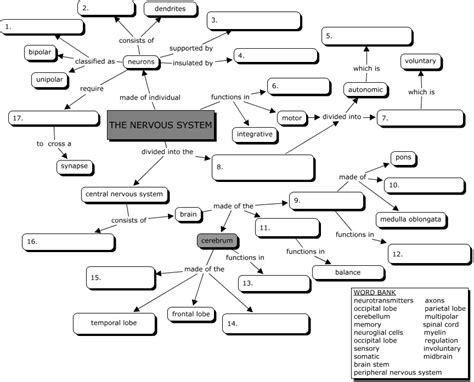 Concept Map For Nervous System Of The Decade Unlock More Insights