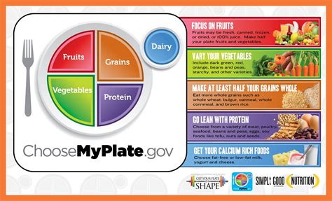 My Plate Planner Adults