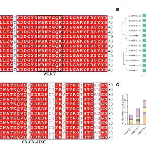 sequence alignment motifs cis acting elements analysis of wrky53 a download scientific