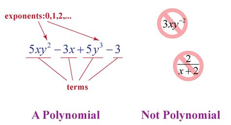 what is a polynomial faqs