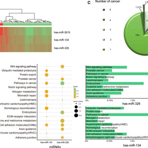 Details Of The MiDRWbased MiRNAmediated Subpathway Activity Inference