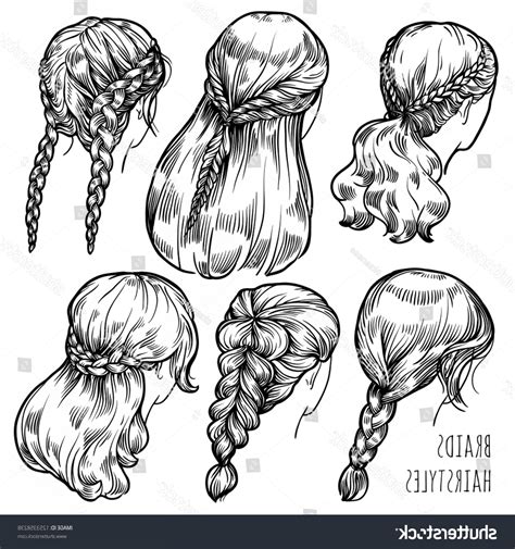 Hair Braids Vector At Collection Of Hair Braids Vector Free For Personal Use