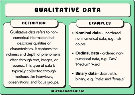 15 Qualitative Data Examples 2024