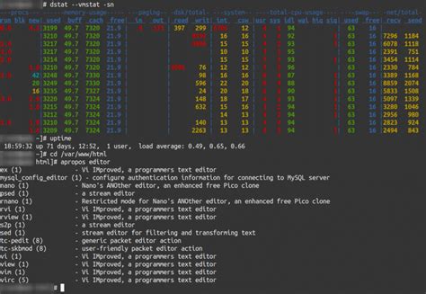 20 basic linux commands for beginners explained with examples