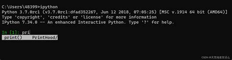 ipython 交互式解释器 csdn博客