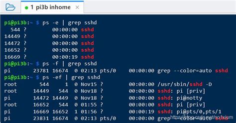 查看 linux 进程 巧用ps grep命令 ps linux grep csdn博客