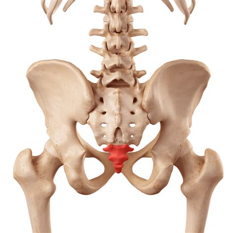 Female Manual Rectal Examination Procedure