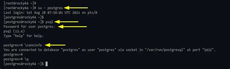 How To Install And Use PostgreSQL 13 On Rocky Linux