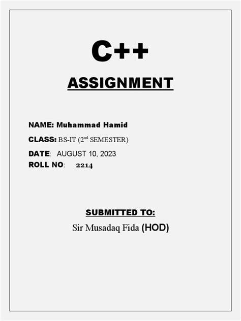 assignment pdf computer program programming