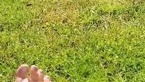 Lisa Ann2023 业余色情视频： 免费裸体性爱 Xhamster