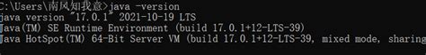 vs code配置java环境（java17） vscode java17 csdn博客