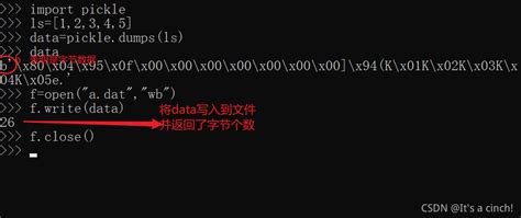 面向序列化——pickle库、json库 jsonpickle库 csdn博客