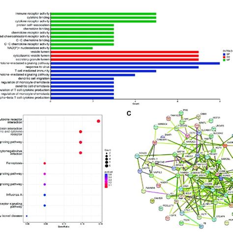 Functional And Pathway Analysis By GSVA Enrichment Analysis In HF And
