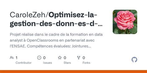 Github Carolezeh Optimisez La Gestion Des Donn Es D Une Boutique Avec