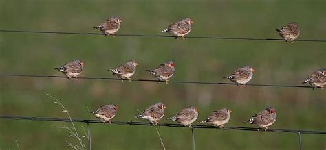 a gentle introduction to numpy arrays in python