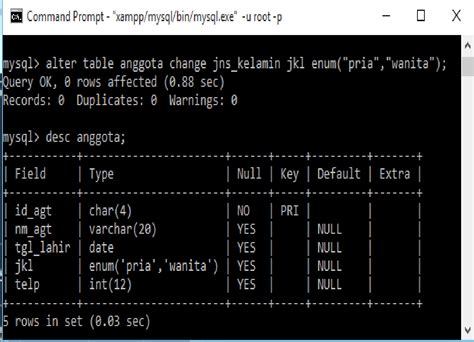 membuat database table di mysql dengan cmd youtube