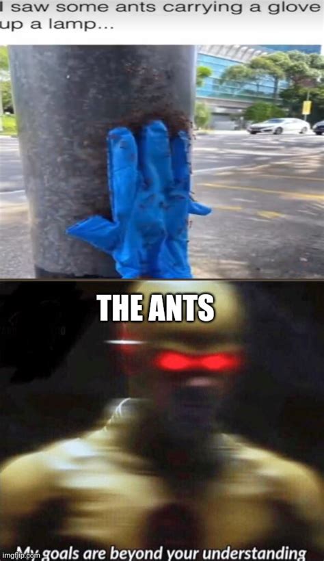 Ok Imgflip
