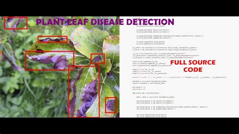 Plant Disease Detection Using Cnn Python Project With Source Code Python Opencv Tensorflow