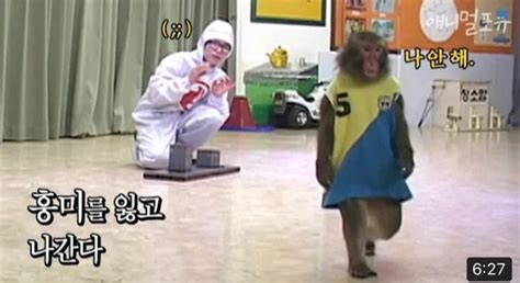 짤에 있는 Oz님의 핀 웃긴 밈 웃긴 기분 사진