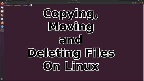 how to copy move and delete files and directories on linux youtube