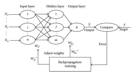 a three layered ffnn with a backpropagation training algorithm download scientific diagram