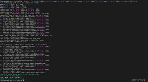 超详细的 redis cluster 官方集群搭建指南 适用于 redis 5 x 6 x redis官方搭建 csdn博客