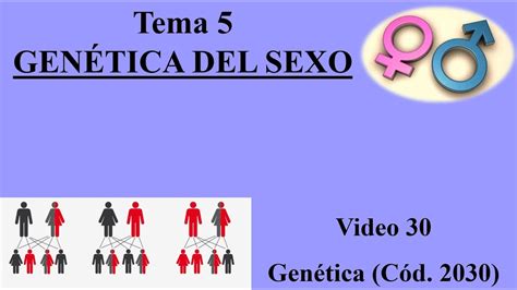 33 Tema 5 Genética Del Sexo Determinación Del Sexo Genética Cód 2030 Youtube