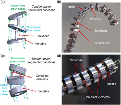 continuum robots an overview russo 2023 advanced intelligent systems wiley online library