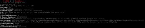 02 Python Requests Headers y Parámetros Hacking utils c Amino