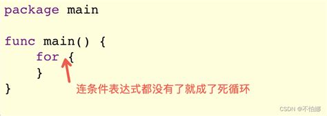 【golang学习之旅】go 的循环结构 csdn博客