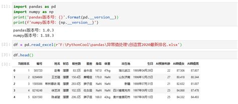 pandas学习笔记04 数据清洗 缺失值与异常值处理 pandas 缺失值异常值 csdn博客