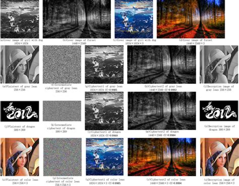 meaningful ciphertext encryption algorithm based on bit scrambling discrete wavelet transform