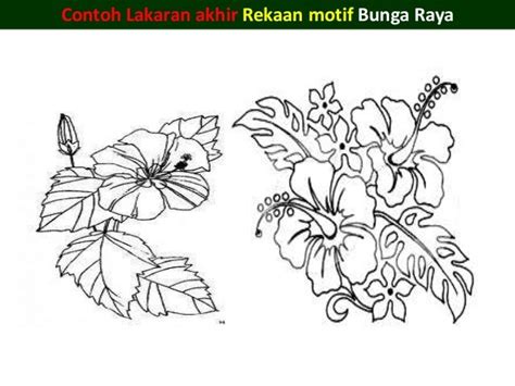 Lakaran Bunga Raya Lukisan Senarai Terbesar Gambar Mewarna Bunga Raya Riset
