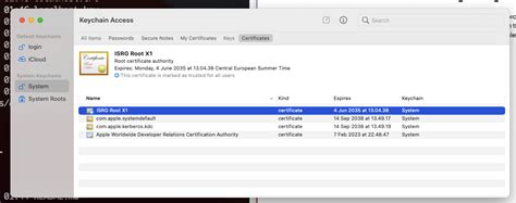 How To Run NUXTJS Development Env With HTTPS In Localhost Full Stack