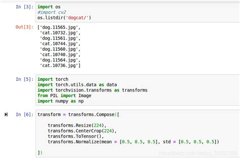 pytorch学习笔记1 自定义数据读取 pytorch怎么读取字符串 csdn博客