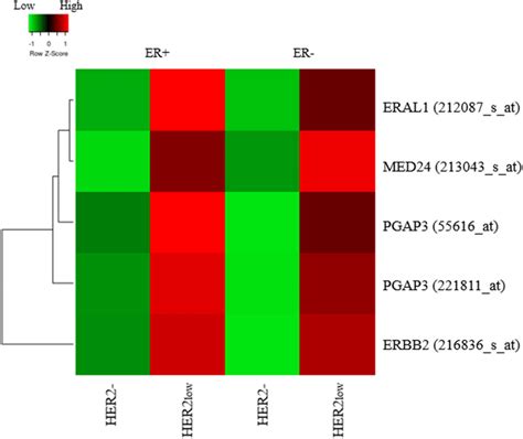 Heat Map Of Genes With A Significant Different Expression Level