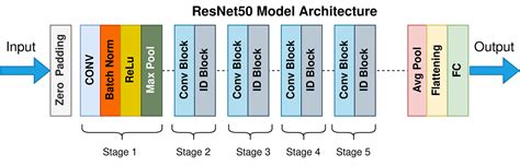 the architecture of 3d resnet50 download scientific d