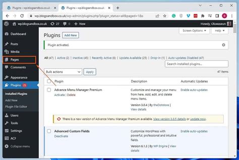 How To Remove Header From One Page In WordPress