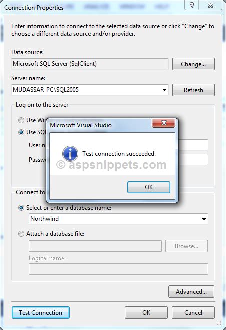 Entity Framework Database First Approach In Windows Forms Winforms Application Using C And Vbnet