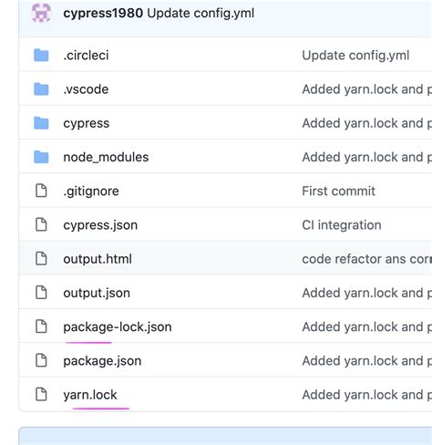 Cipm Can Only Install Packages When Your Package Json And Package Lock