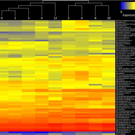 Arraystar Heat Map Representing The Results Of Hierarchical Clustering