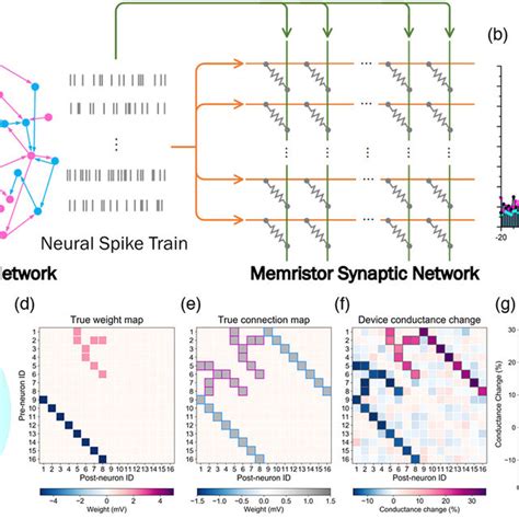 pdf neural functional connectivity reconstruction with second‐order memristor network